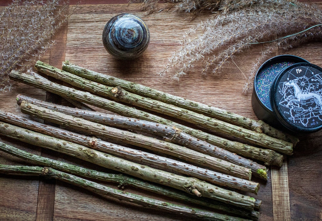 10 Elderberry Wands, Elder Twigs, Sambucus Nigra, Wood Stick, Craft ...