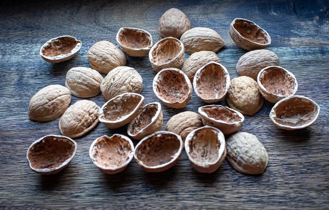 30 Natural Medium Size Walnut Shells Bleached Walnut Halves Christmas ...