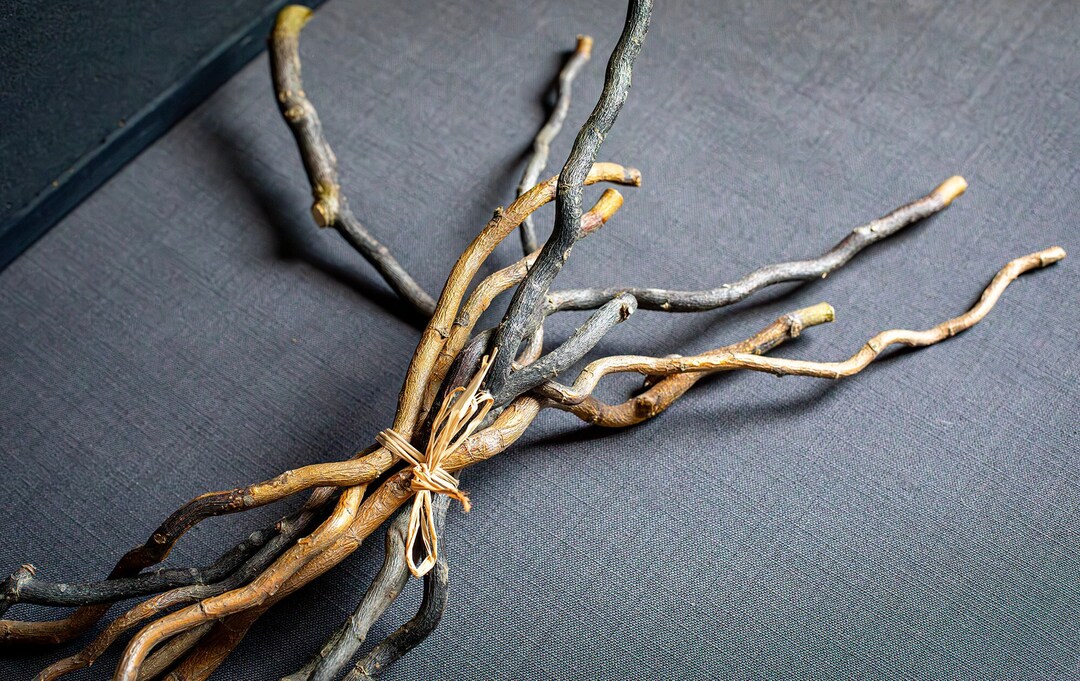 Bunch of Curly Willow Sticks Set 2 Natural Curly Willow Branches Easter ...