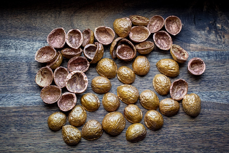 45 Small & Medium Natural Walnut Shells Golden Walnut Halves - Etsy