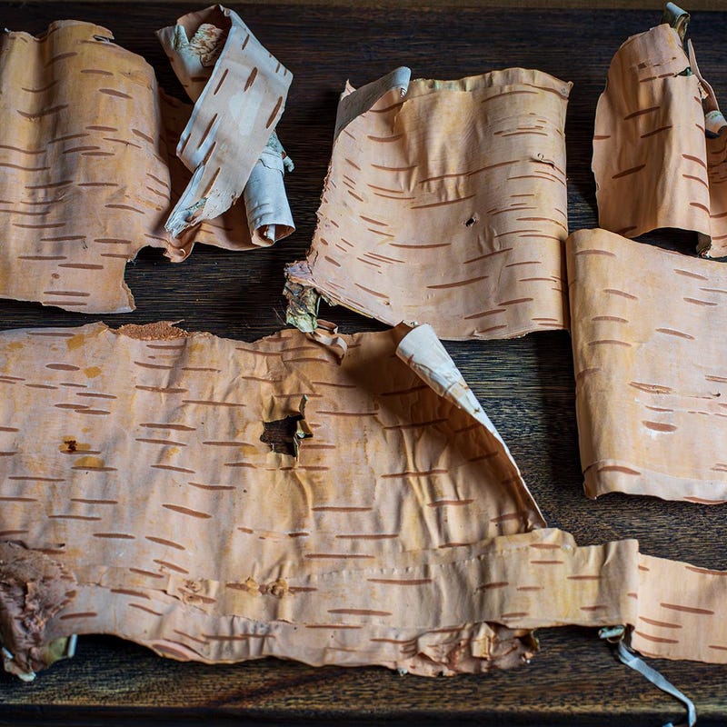 Birch Bark Paper - Etsy