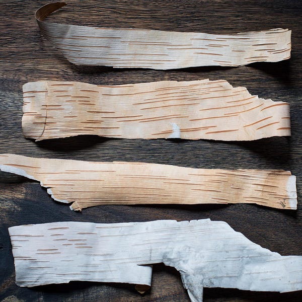 Birch Bark Strips - Etsy