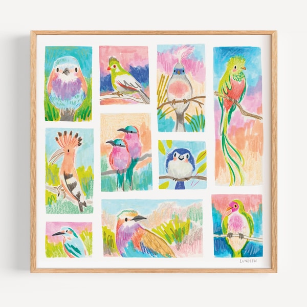 Colorful Bird Art - Etsy