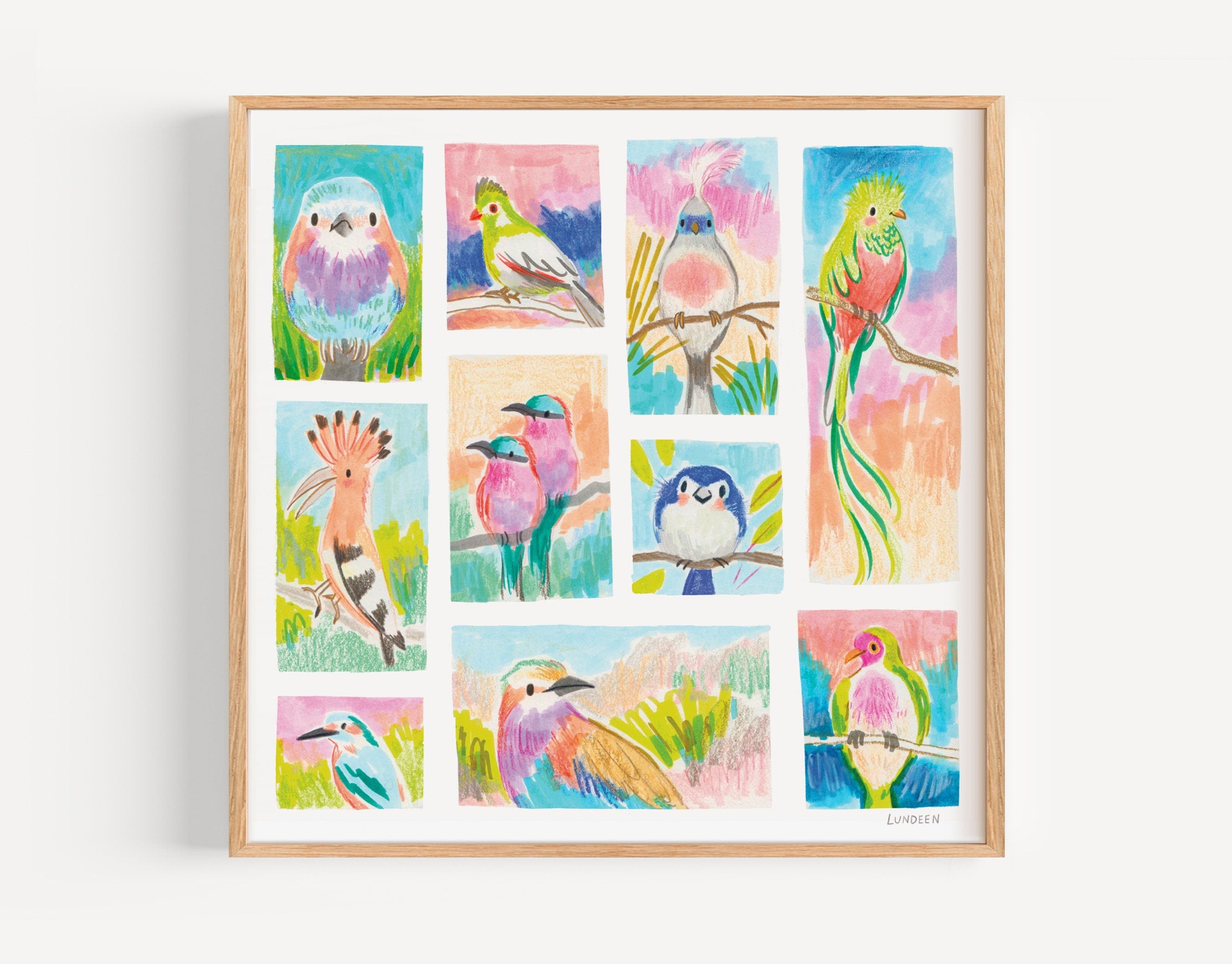 Limited Edition Signed Exotic Birds Art Print, Tropical Bird Sketches ...