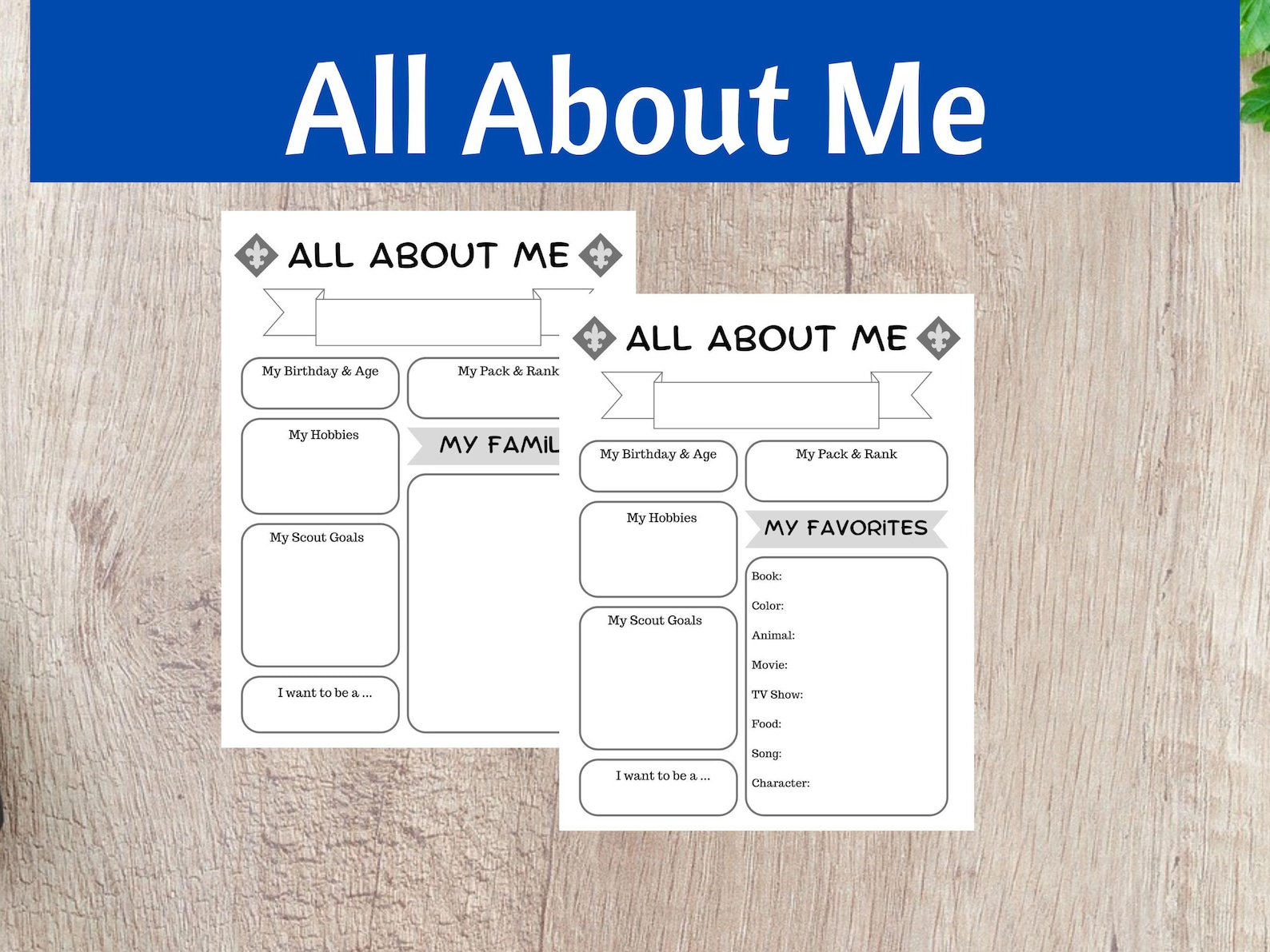 Scout All About Me PDF - 2 Versions - Color and Black & White ...