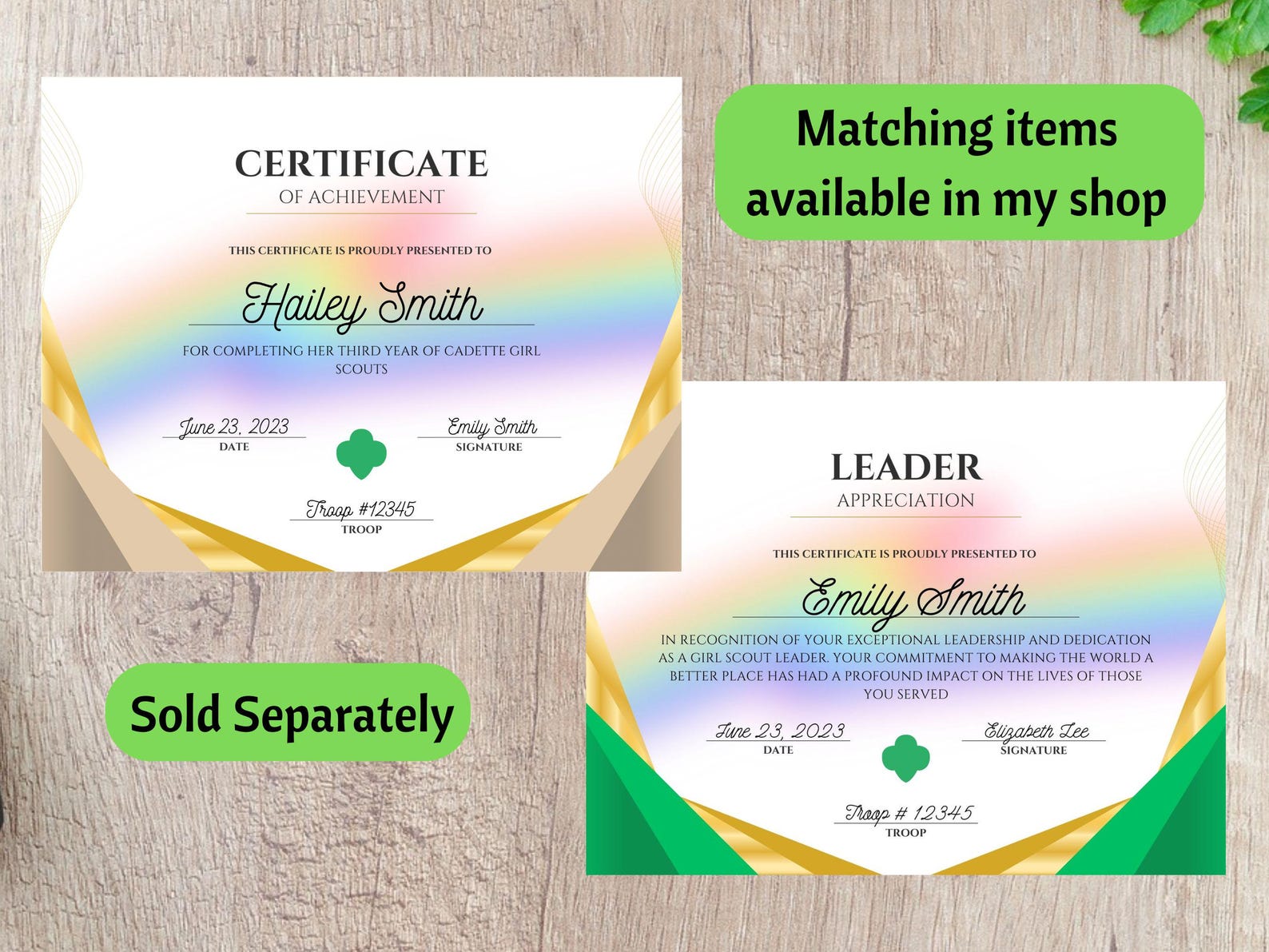 Girl Scout Certificates of Completion - Daisy to Ambassador Bridging ...