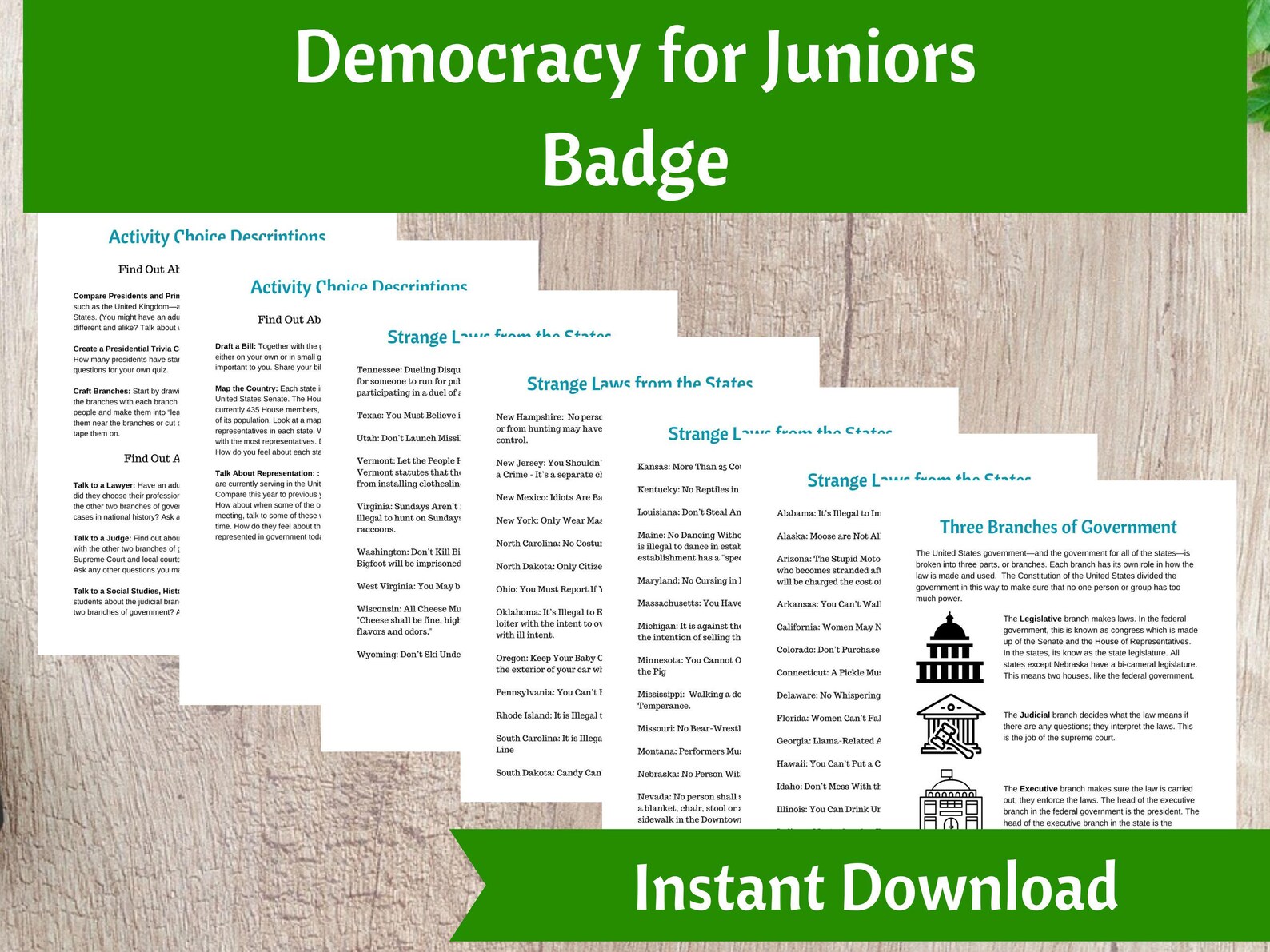 Democracy for Juniors Badge Activity Kit | Girls Scout Troop Organizer ...