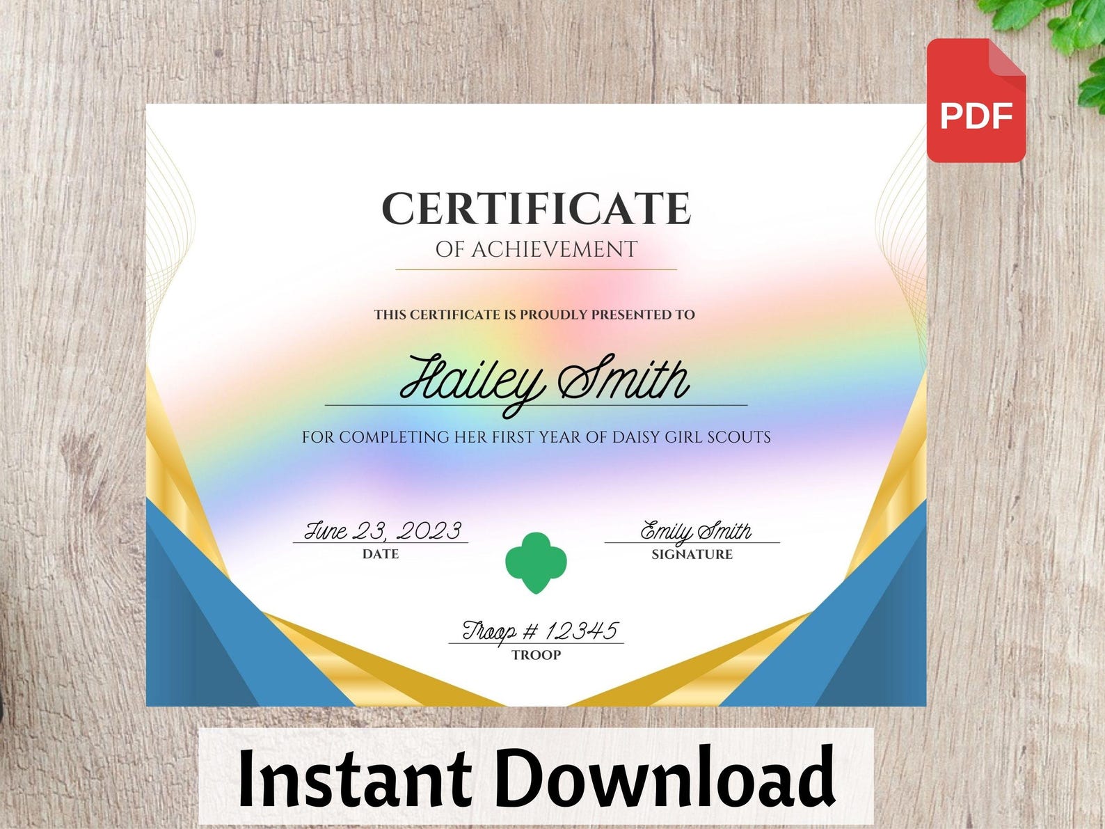 Daisy Girl Scout 1st and 2nd Year Certificate of Completion ...