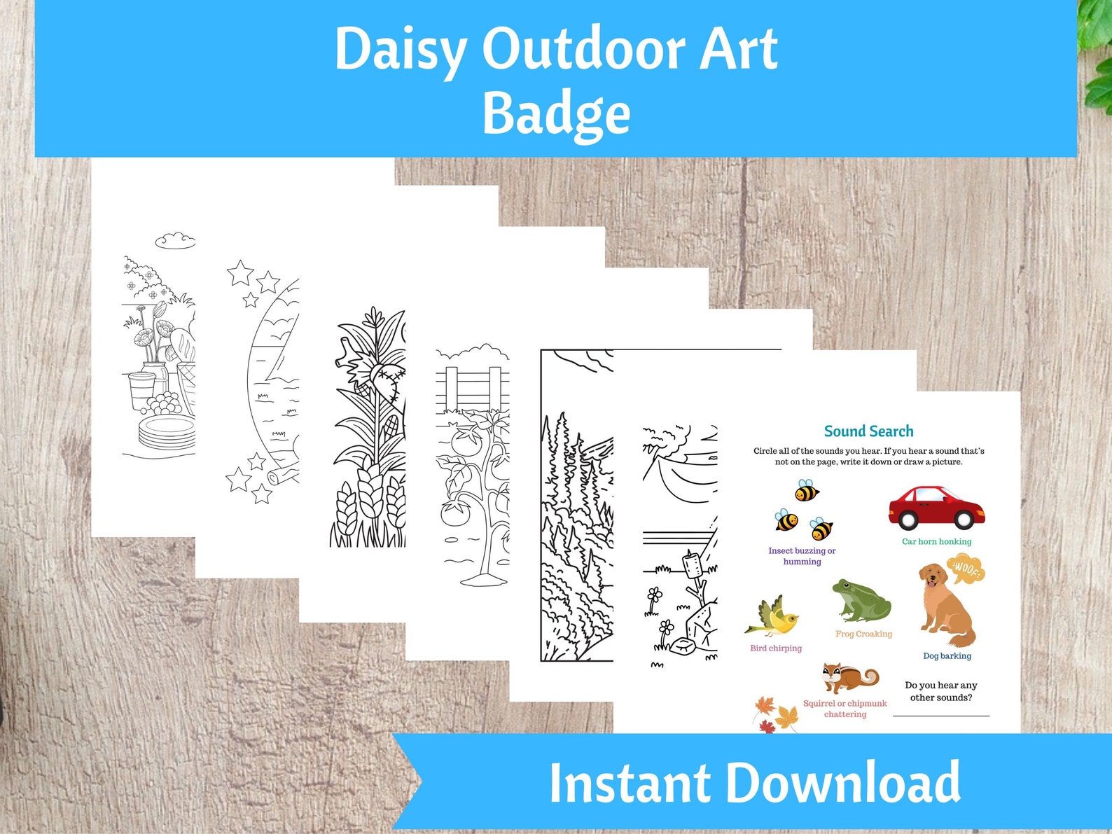 Daisy Outdoor Art Badge Activity Kit | Girls Scout Troop Organizer ...
