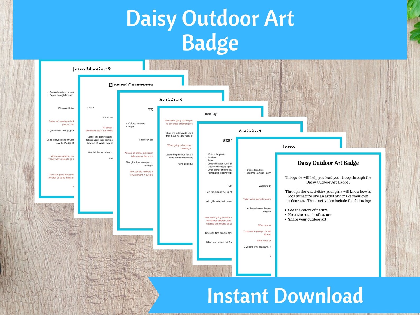 Daisy Outdoor Art Badge Activity Kit | Girls Scout Troop Organizer ...