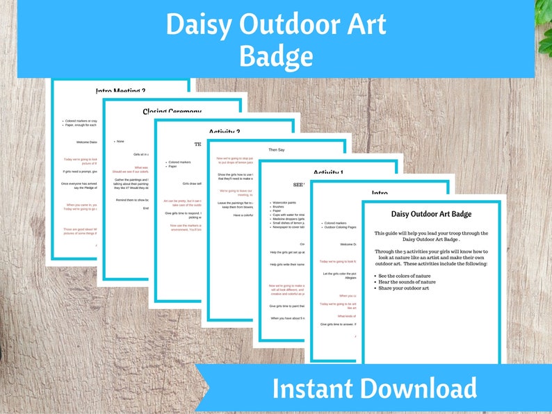 Daisy Outdoor Art Badge Activity Kit | Girls Scout Troop Organizer ...