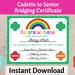 Cadette to Senior Bridging Certificate Scouts Bridging Ceremony ...