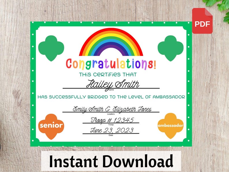 Scout Bridging Certificates - All Levels Daisy to Adult Bridging ...