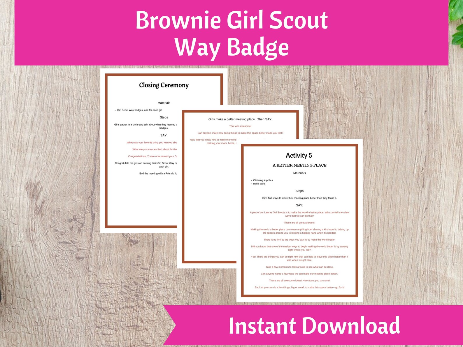 Brownie Girl Scout Way Badge Activity Kit Girls Scout Troop Organizer ...