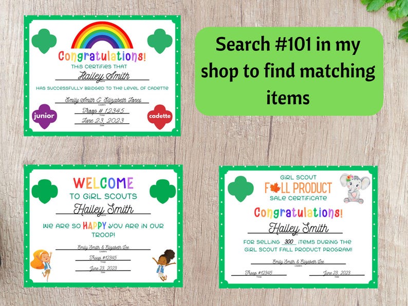 Brownie Art And Design Badge Activity Kit Girls Scout Troop Organizer