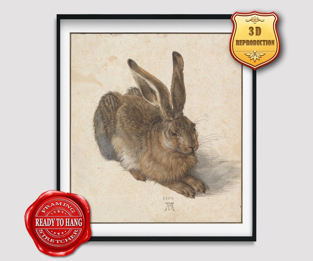 Albrecht Durer Young Hare Giclee Print Texture Gel Reproduction ...