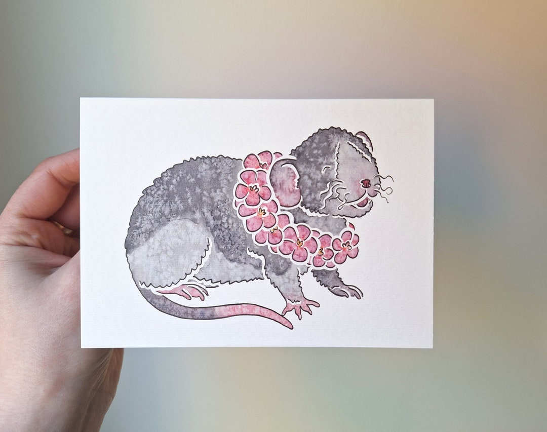 Dumbo Rex PET FANCY RAT Watercolour Design Note Greetings Cards by York ...