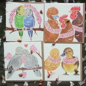 COLLARED DOVES Greeting Card / York Animal Artist Printed Watercolour ...