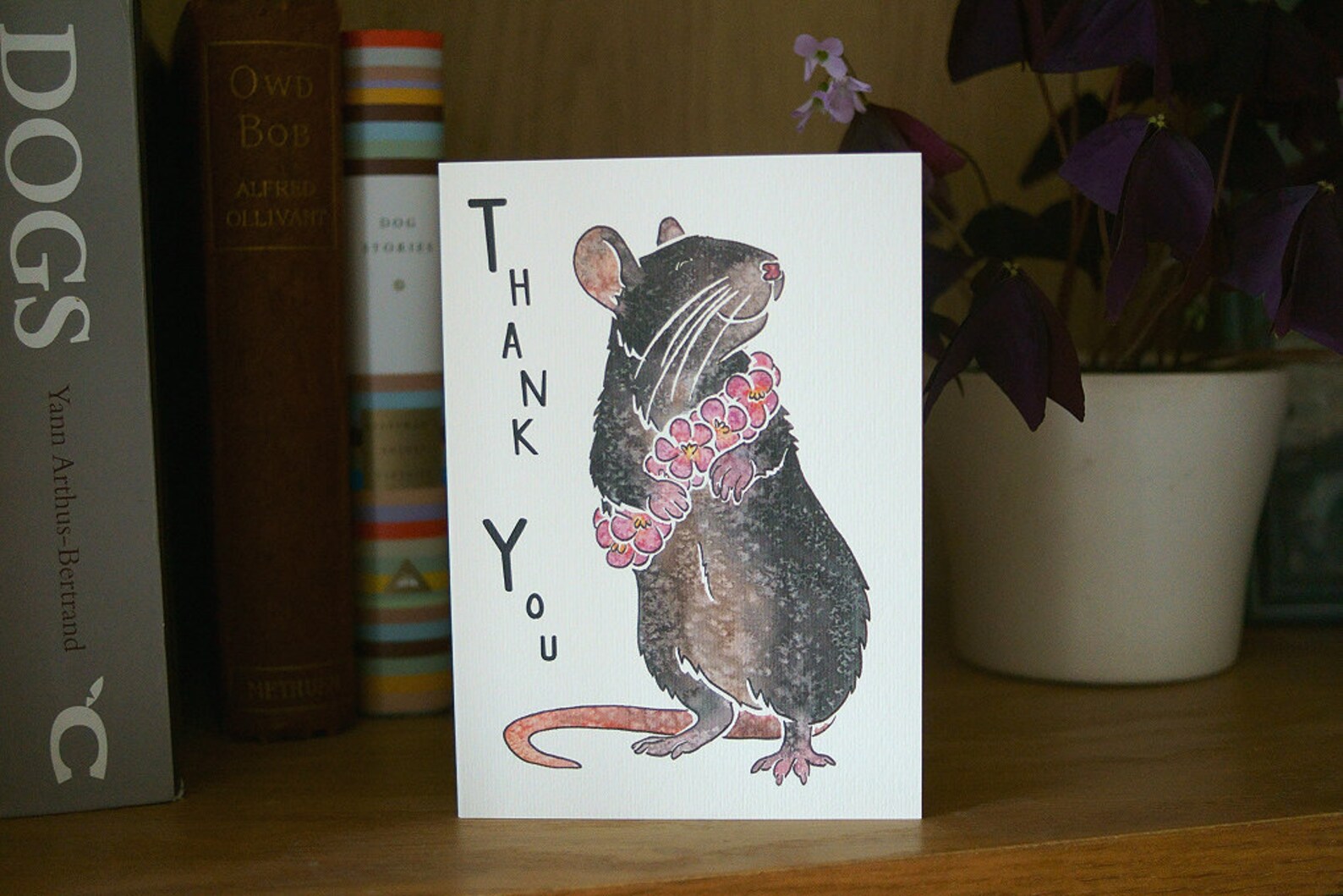 PET FANCY RAT black Topear Ratty Thank You Notecards Gifts - Etsy