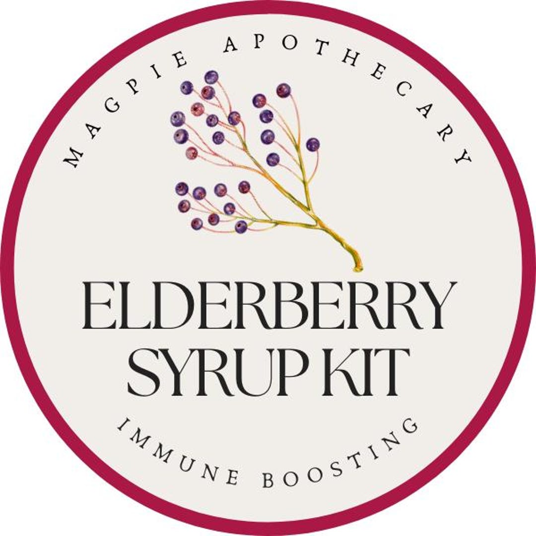 Elderberry Syrup Kit | Family Size | DIY Kit | Elderberries Astragalus ...