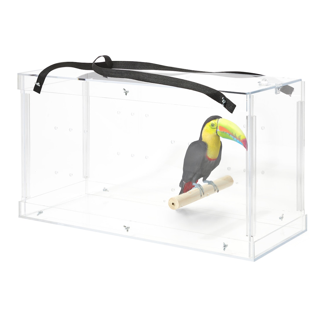 PENNZONI Macaw Acrylic Carrier, Large Bird Carrier, Clear Acrylic Bird ...