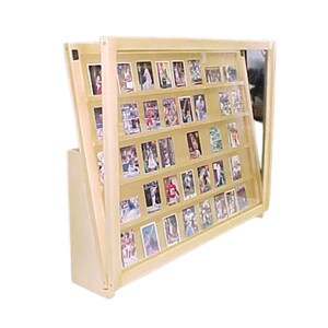 PENNZONI Table Top Display Case W/ 2 Stands, Acrylic Baseball Card Show ...