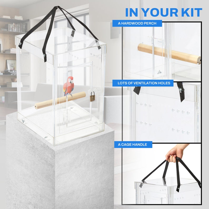 PENNZONI Medium Acrylic Carrier, Large Bird Carrier, Clear Acrylic Bird ...