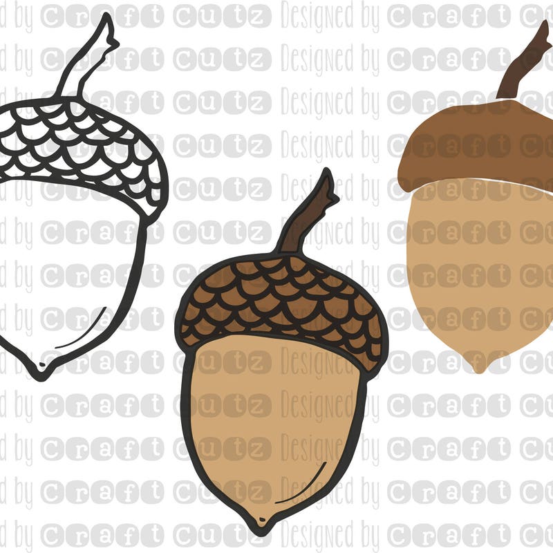 Acorn Clip Art - Etsy