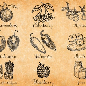 Custom WATERPROOF Mason Jar Label, Apothecary Canning Jar Sticker ...