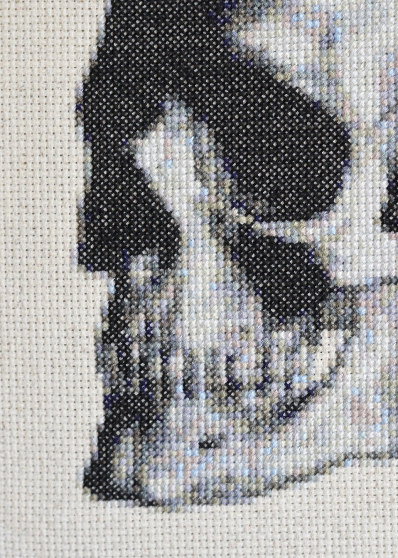 Anatomical Skull Cross Stitch Pattern - Etsy Canada