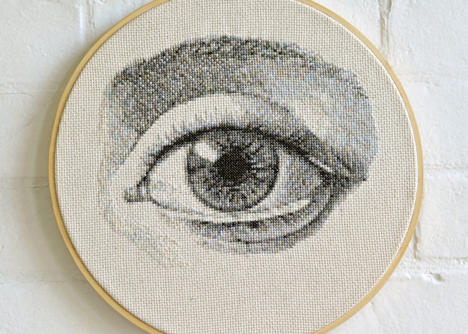 Anatomical Eye Cross Stitch Pattern, Cross Stitch, Cross Stitch Pattern ...