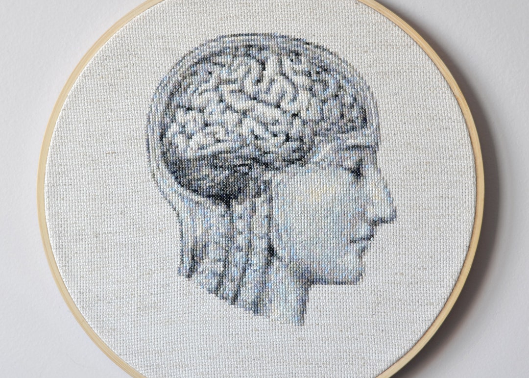 Anatomical Brain Cross Stitch Pattern - Etsy