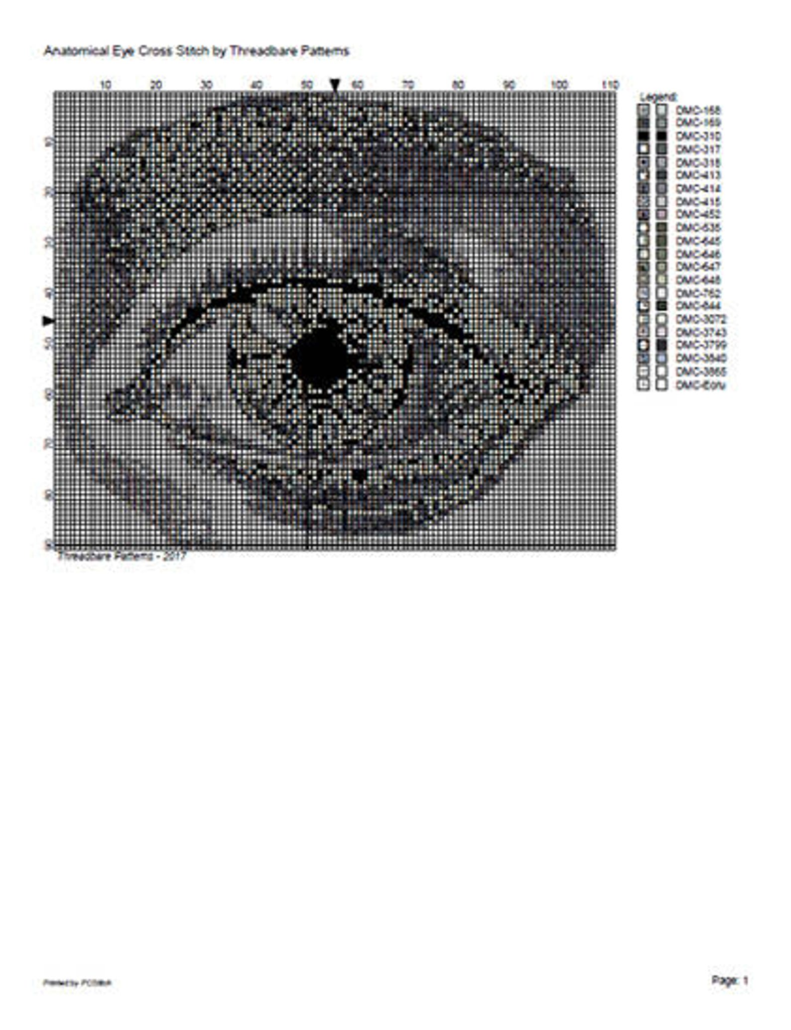 Anatomical Eye Cross Stitch Pattern, Cross Stitch, Cross Stitch Pattern ...