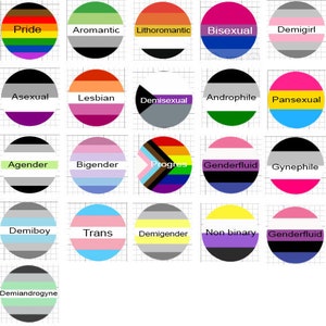 Pride Flag Stickers Trans Ace Aro Asexual Aromantic Bisexual - Etsy