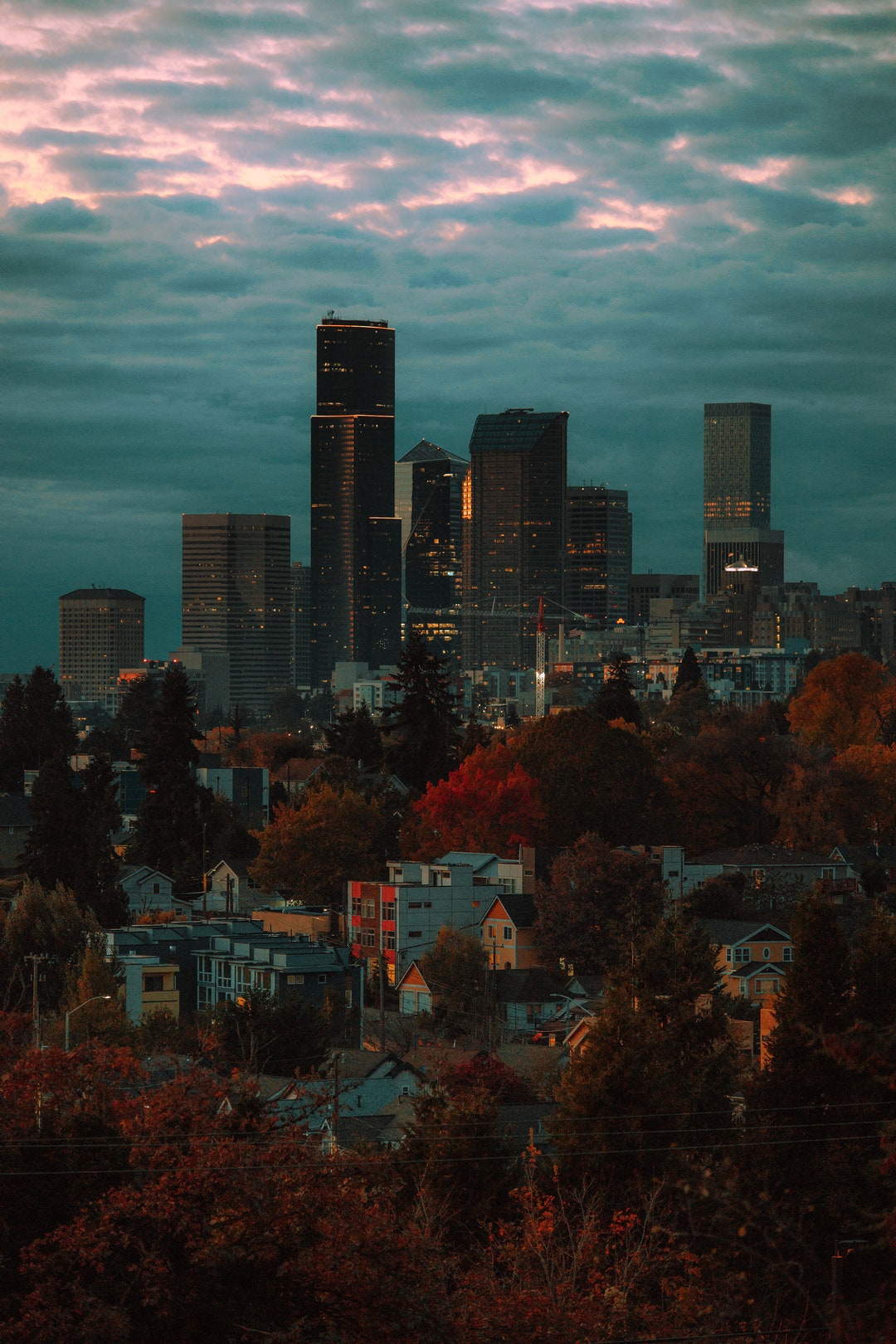 Seattle Downtown Cityscape Autumn Fall Photography Print / Seattle ...