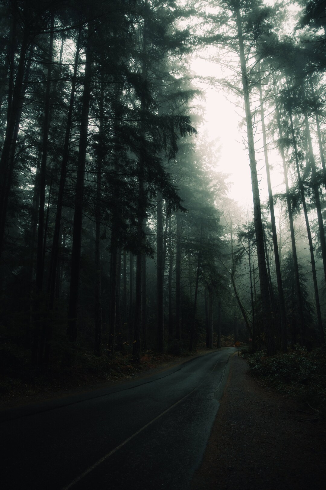 Point Defiance Park Tacoma Washington Photo Print / Fall Photos ...