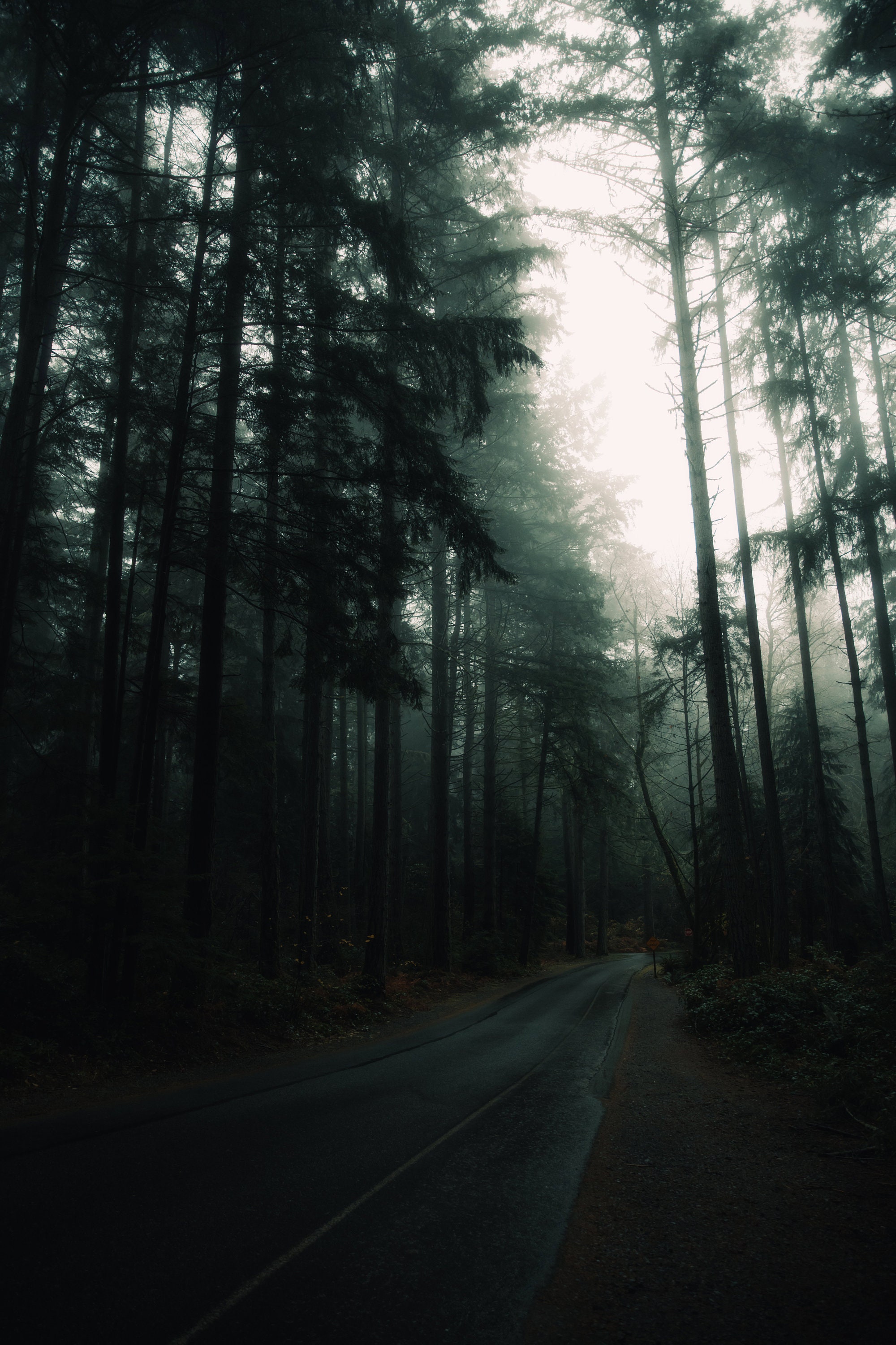 Point Defiance Park Tacoma Washington Photo Print / Fall Photos ...