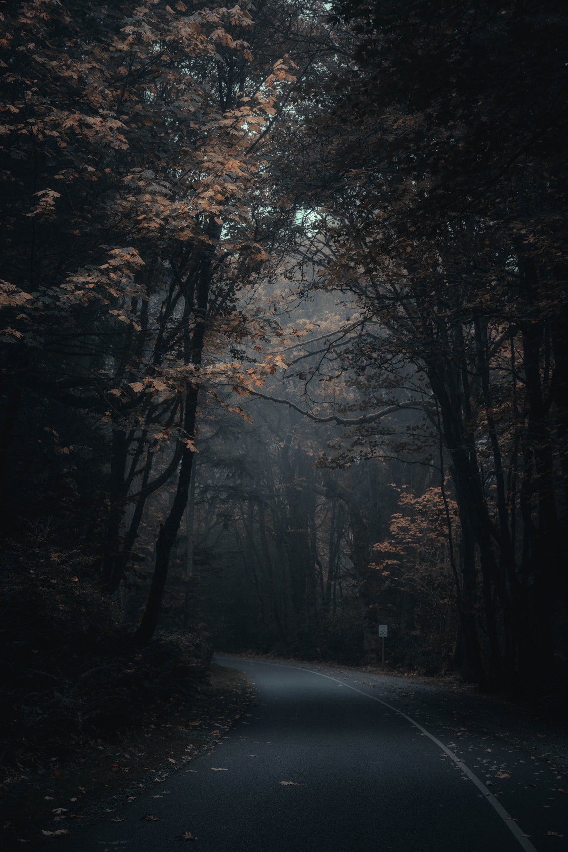 Point Defiance Park Tacoma Washington Photo Print / Fall Photos ...