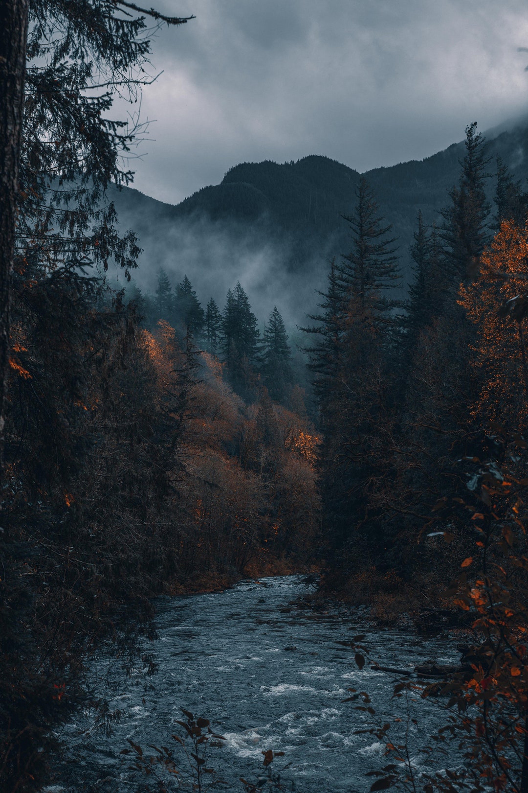 Washington Photography Print / PNW Photography / Nature Photography ...