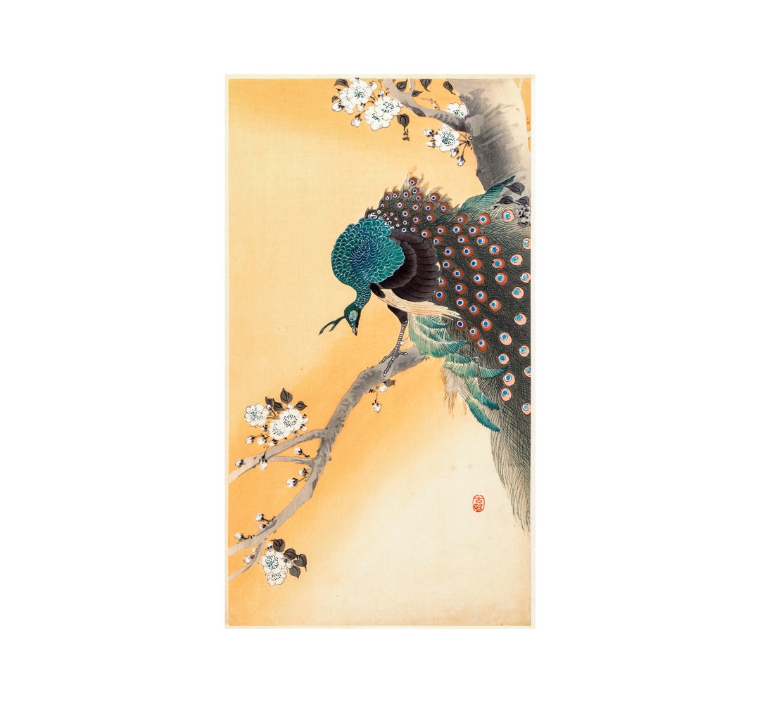 Ohara Koson Peacock in Cherry Tree. Vintage Japanese Print ...