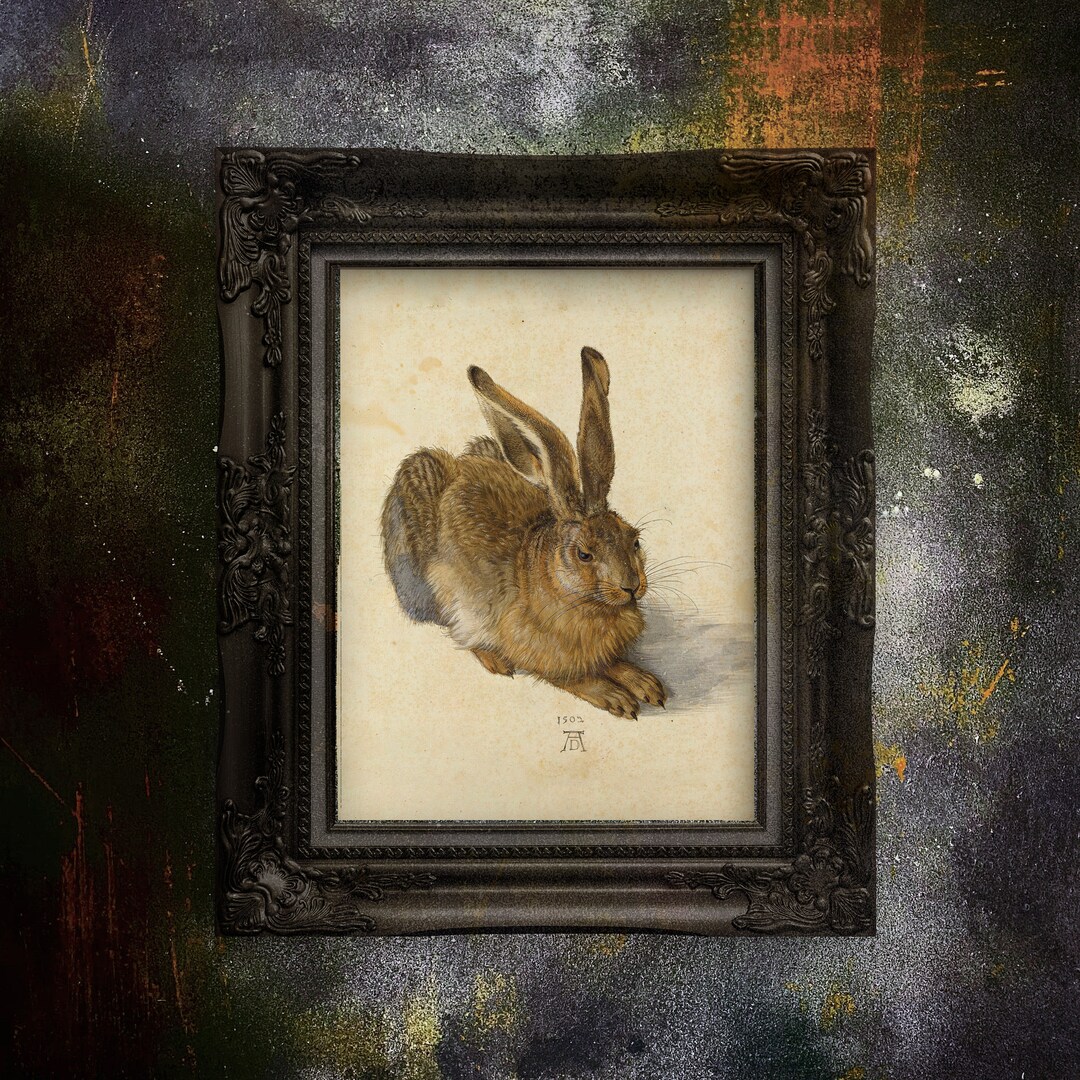 Albrecht Durer Young Hare Art Print: Fine Art Reproduction - Etsy