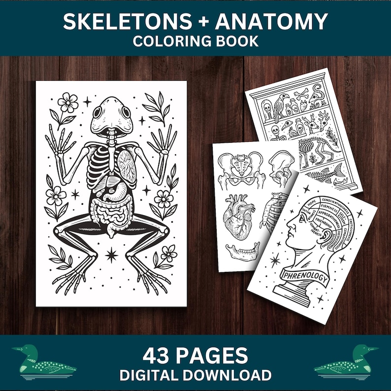 Anatomy Coloring Book – Skeletons, Skulls & Bones | Printable Medical ...