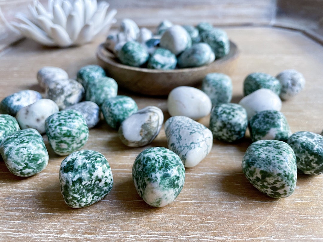 Tree Agate Tumbled Stone - Etsy