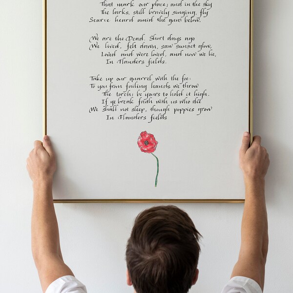 Flanders Poppy - Etsy