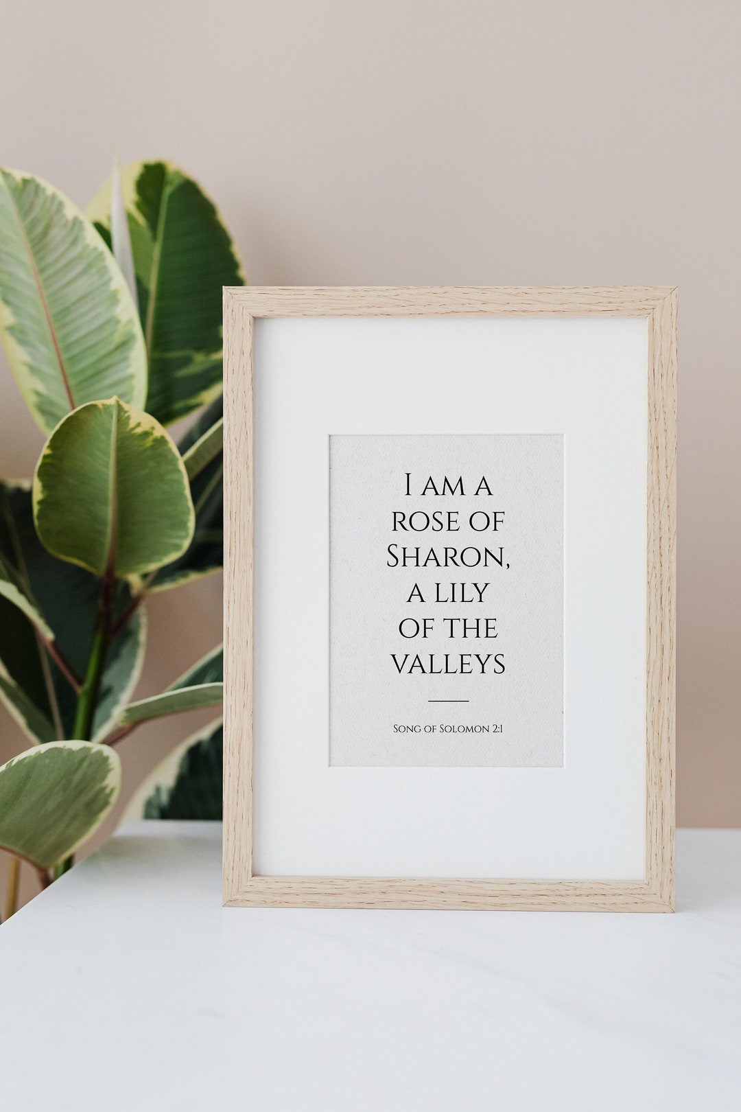 Song of Solomon 2:1 I Am a Rose of Sharon Bible Verse Print, Bible ...