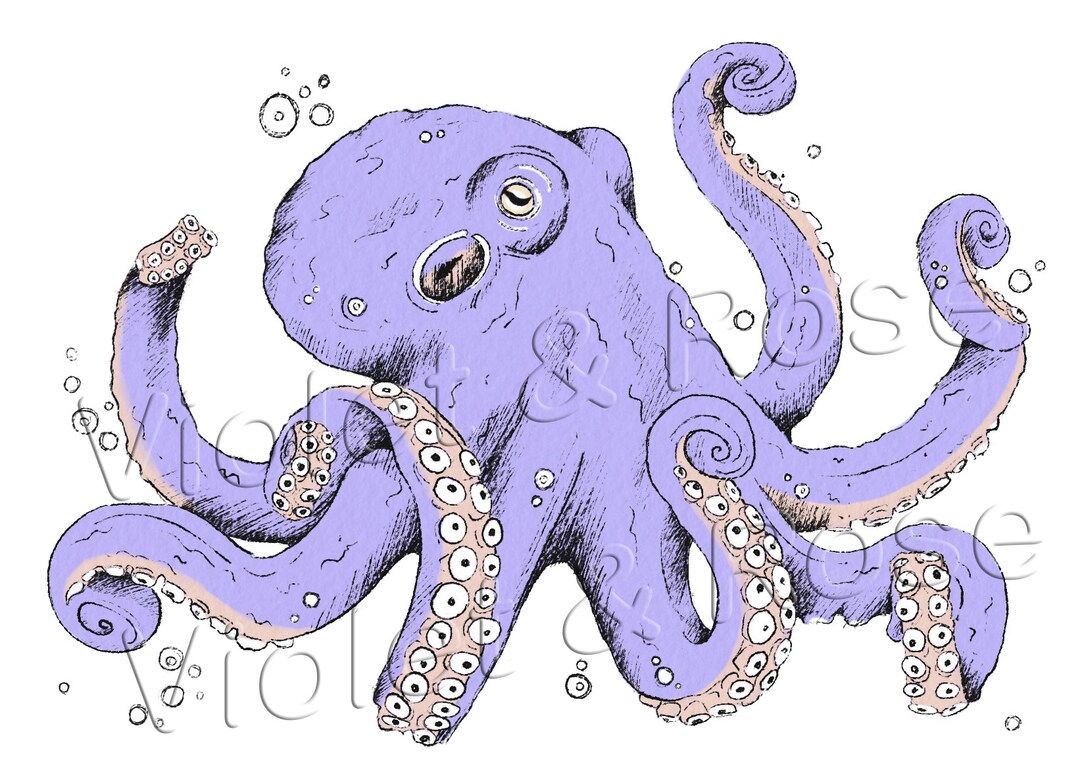 Pacific Octopus Illustration Ocean Exotic Animal Portrait Digital ...