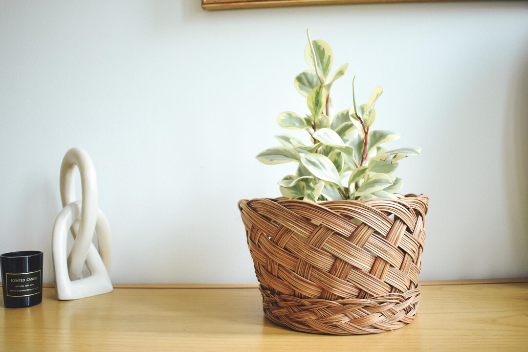 Vintage Woven Basket With Modern Vibes and Looping Design for a Boho ...