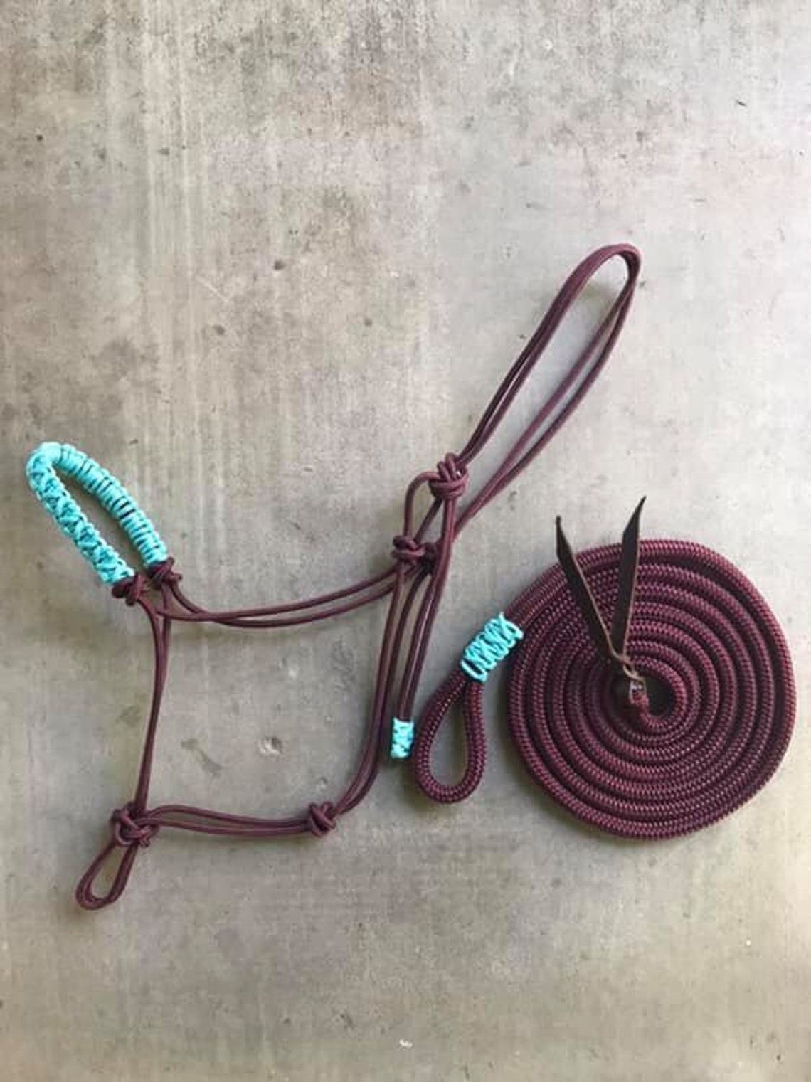 Custom Rope Halter With Matching 10' Lead Rope | Etsy