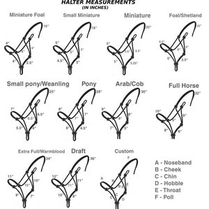 Custom Soft or Stiff Side Pull Bridle - Etsy