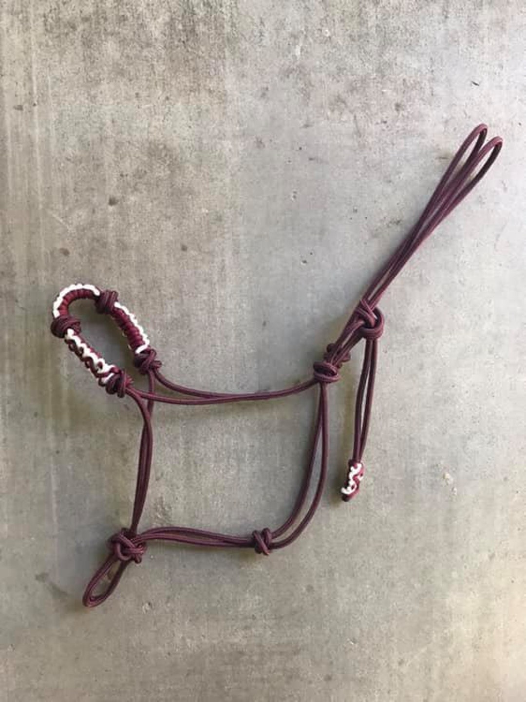 Custom Soft or Stiff Yacht Rope Halters With Paracording - Etsy